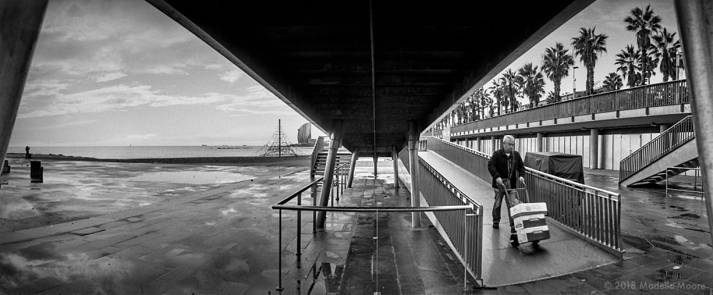 Horizon – Transient Eye