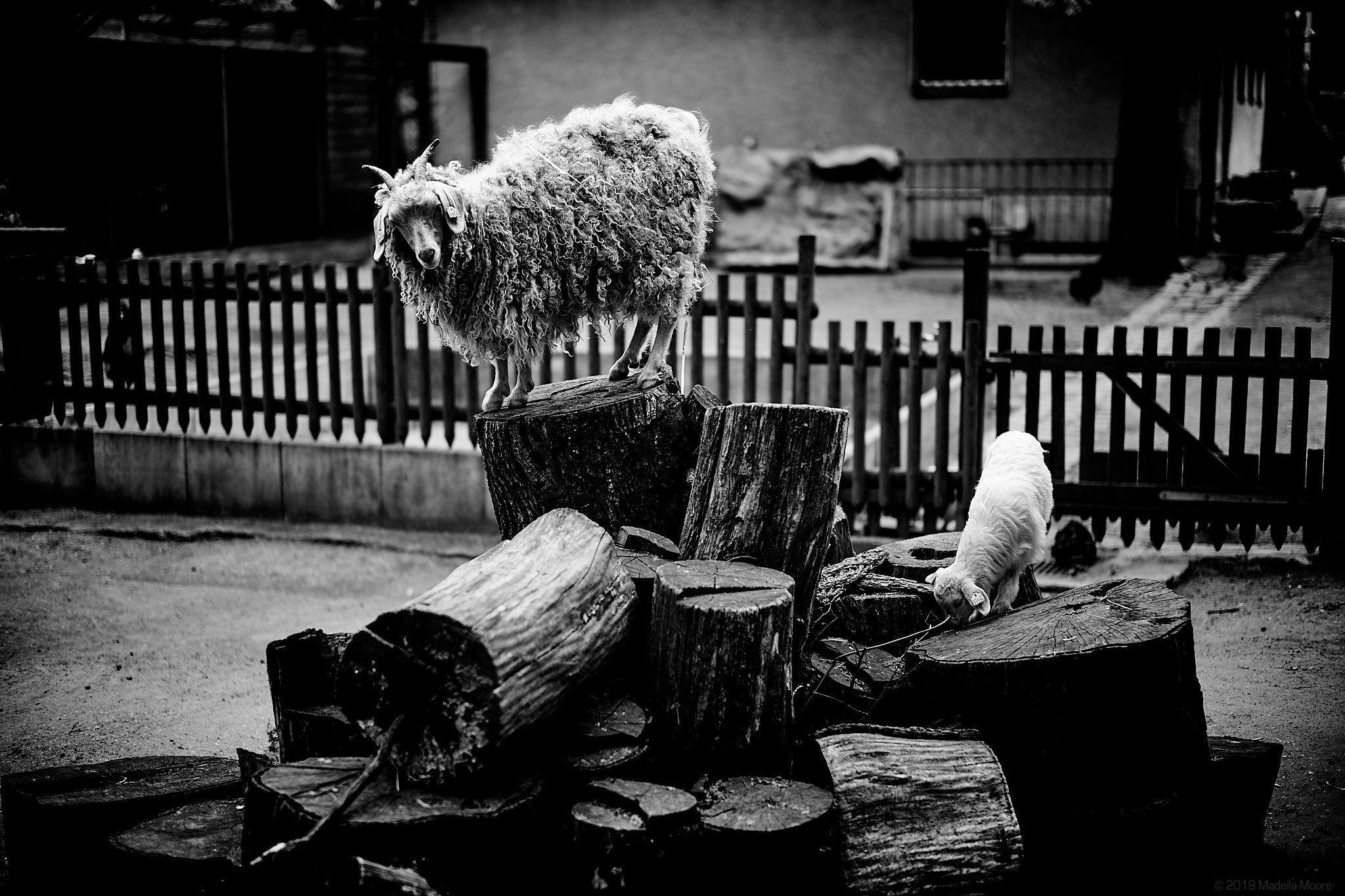 Snapshots from Berlin – Transient Eye